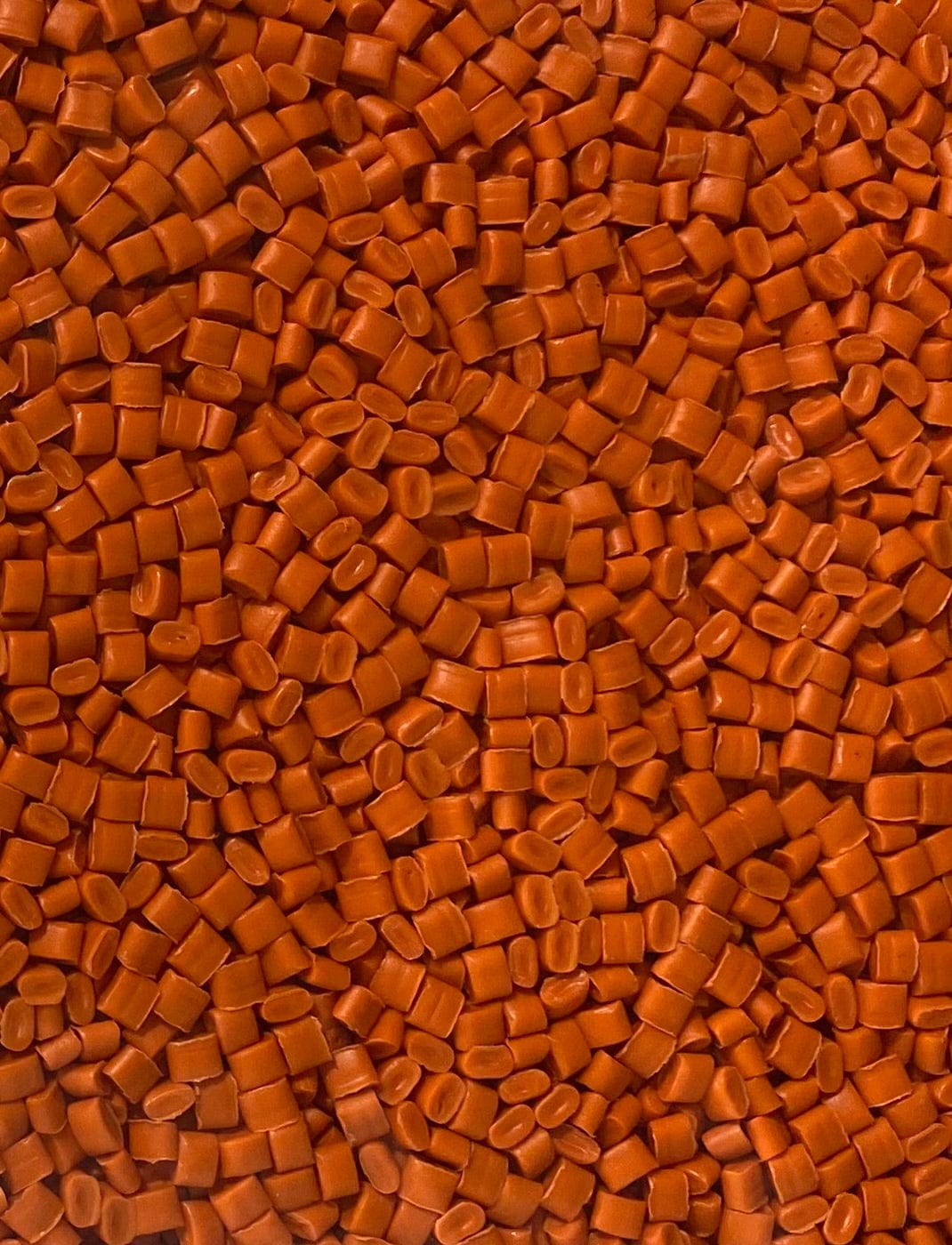 Transmutation Resources